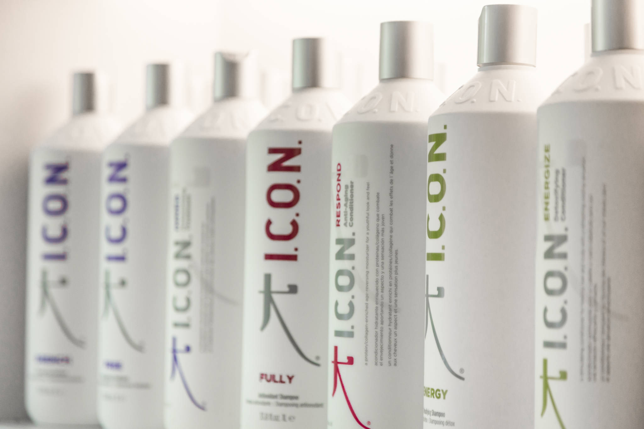 Robert Ling -45 - Robert Ling Kappers