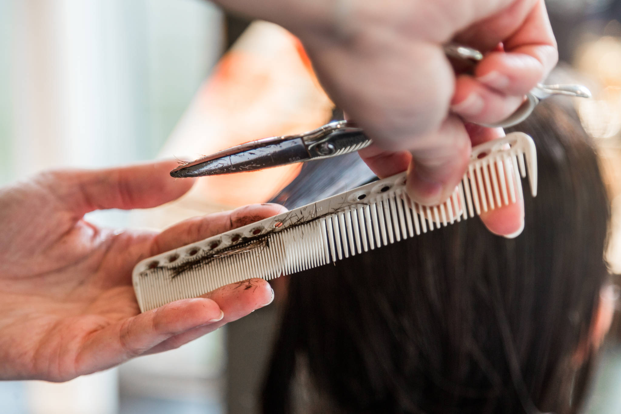 Robert Ling -47 - Robert Ling Kappers